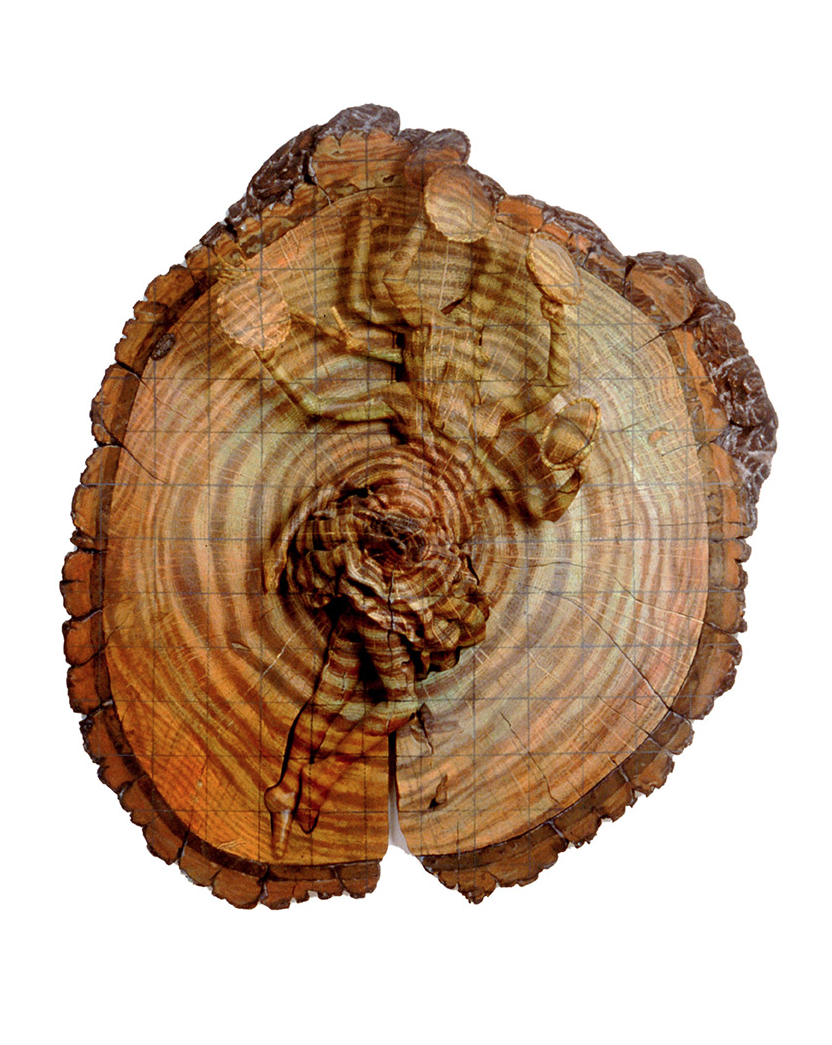 Wood Nymphs - Maine Home + Design